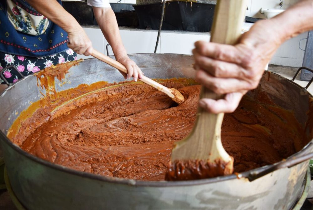 Misiones creó una ley para mejorar los procesos de producción de azúcar ...
